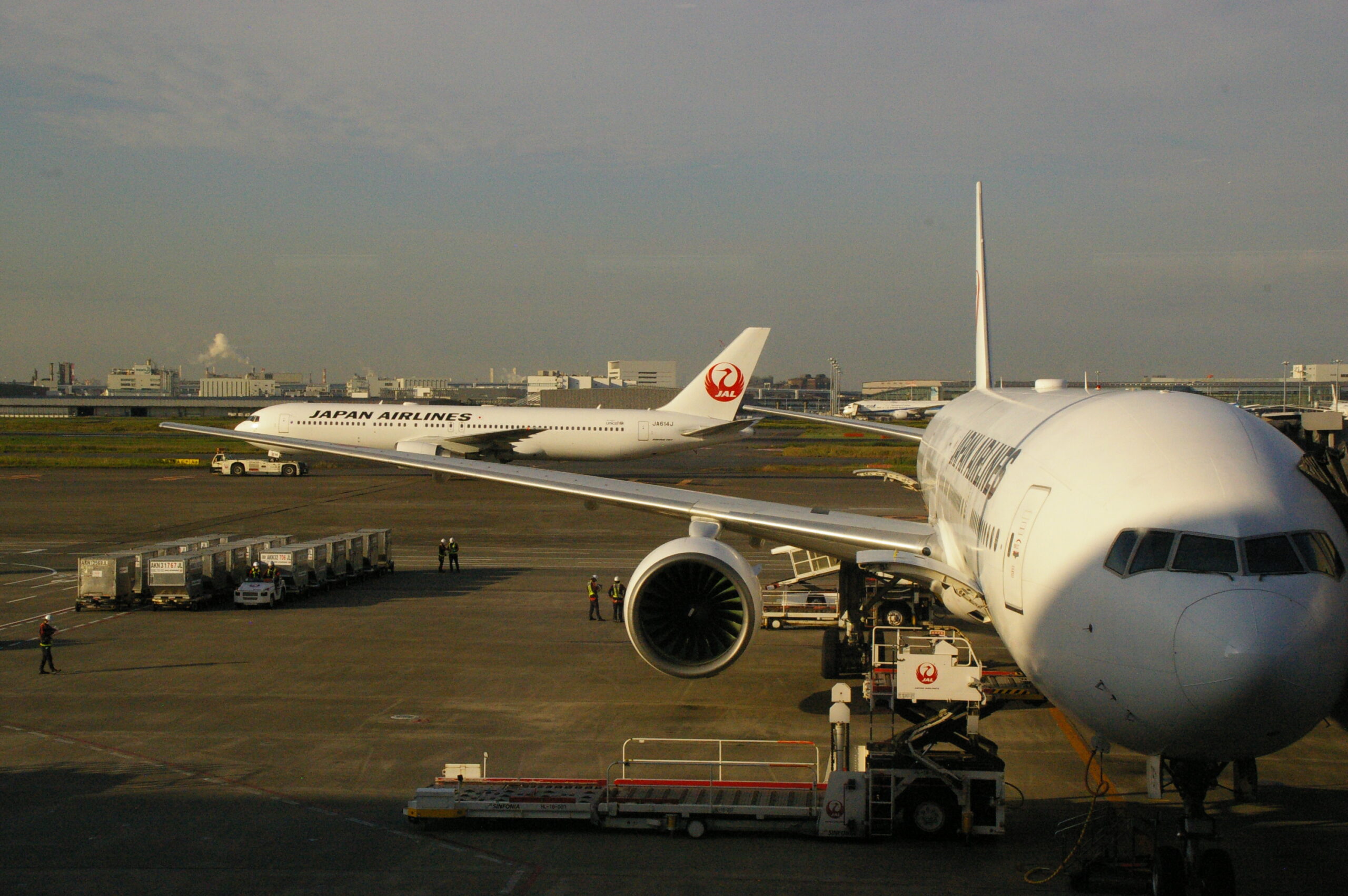 JAL、来年1月に成田－デリー線に就航 | ツーリズムメディアサービス（TMS）